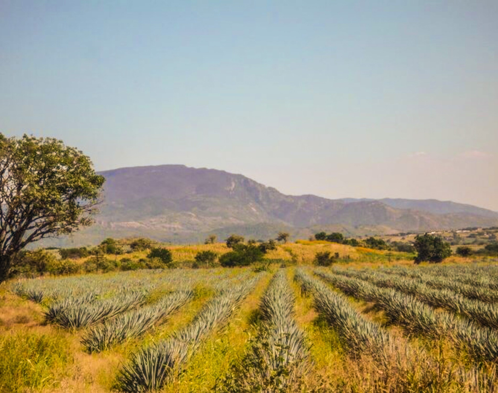 El renacer del turismo rural mexicano - Viajes por Mexico