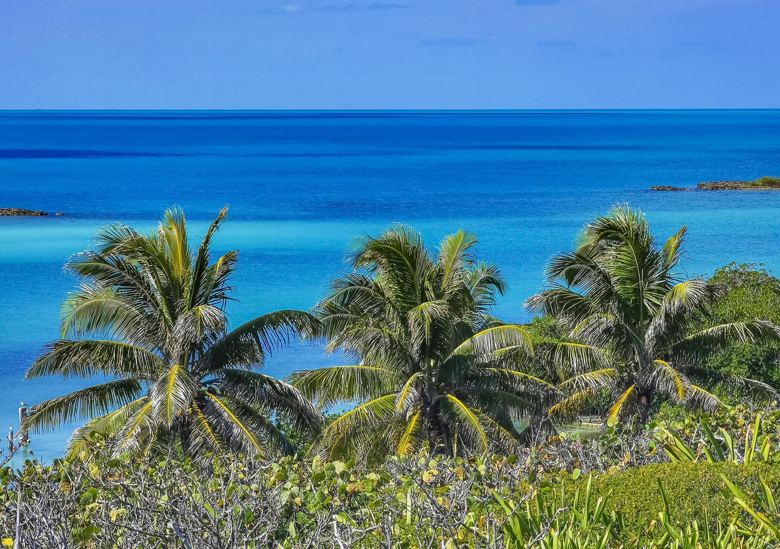 Deberías conocer Isla Contoy, una joya escondida - Viajes por Mexico